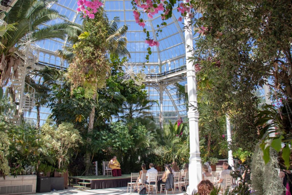 What's On - Palm House Sefton Park