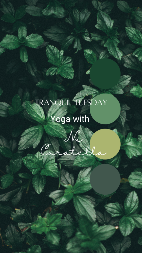 Tranquil Tuesday Yoga - Palm House Sefton Park