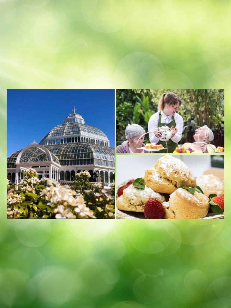 Afternoon Tea - Summer Afternoon Tea - Palm House Sefton Park