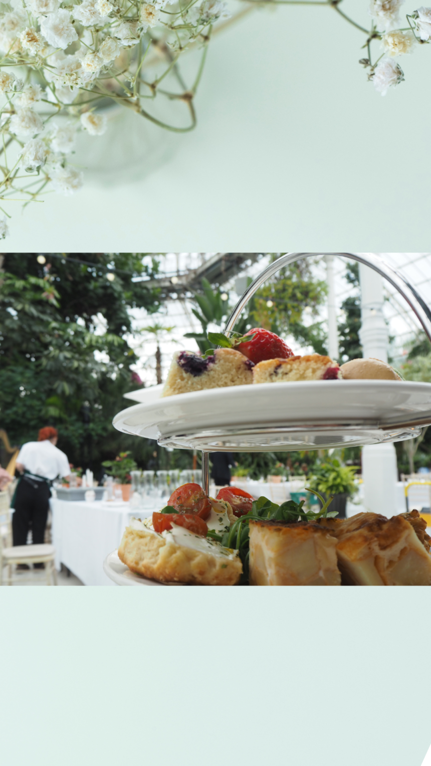 afternoon tea Spring Afternoon Tea - Palm House Sefton Park